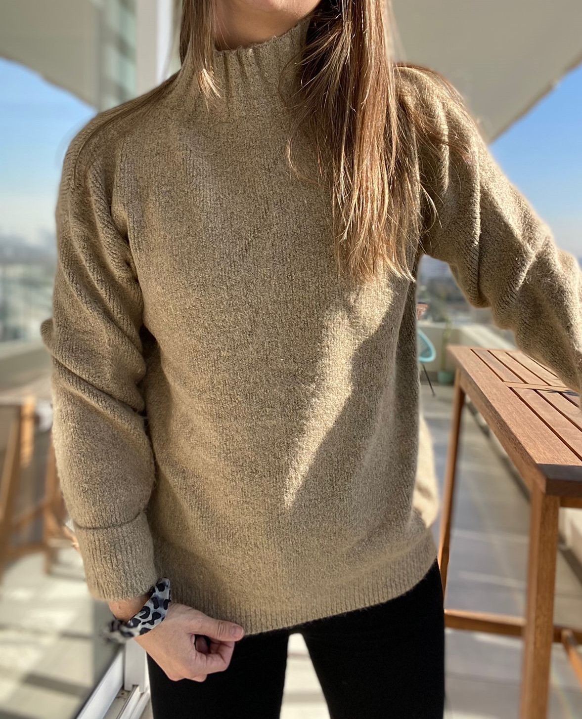 Jerusalem Camel – Emiro